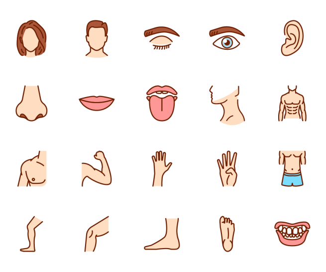 Human Body Parts Line And Colour Icons Graphicsfuel
